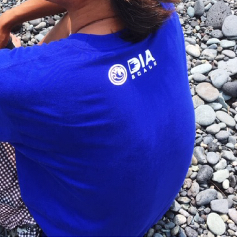 メンテナンス中 | 【DIA SCALE（ダイヤスケール）】公式ウェブサイト