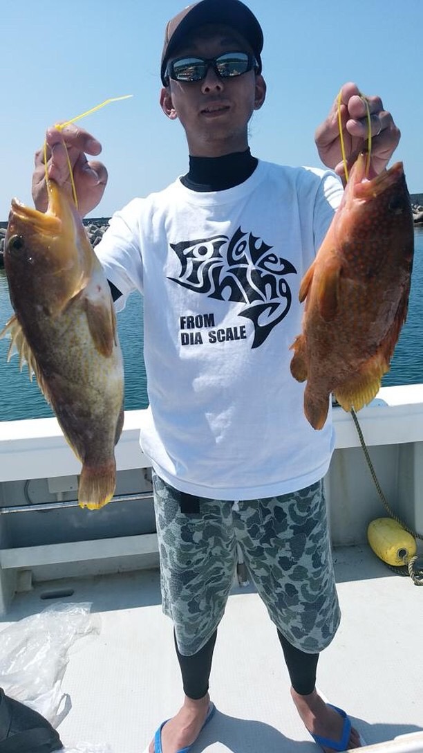 メンテナンス中 | 【DIA SCALE（ダイヤスケール）】公式ウェブサイト