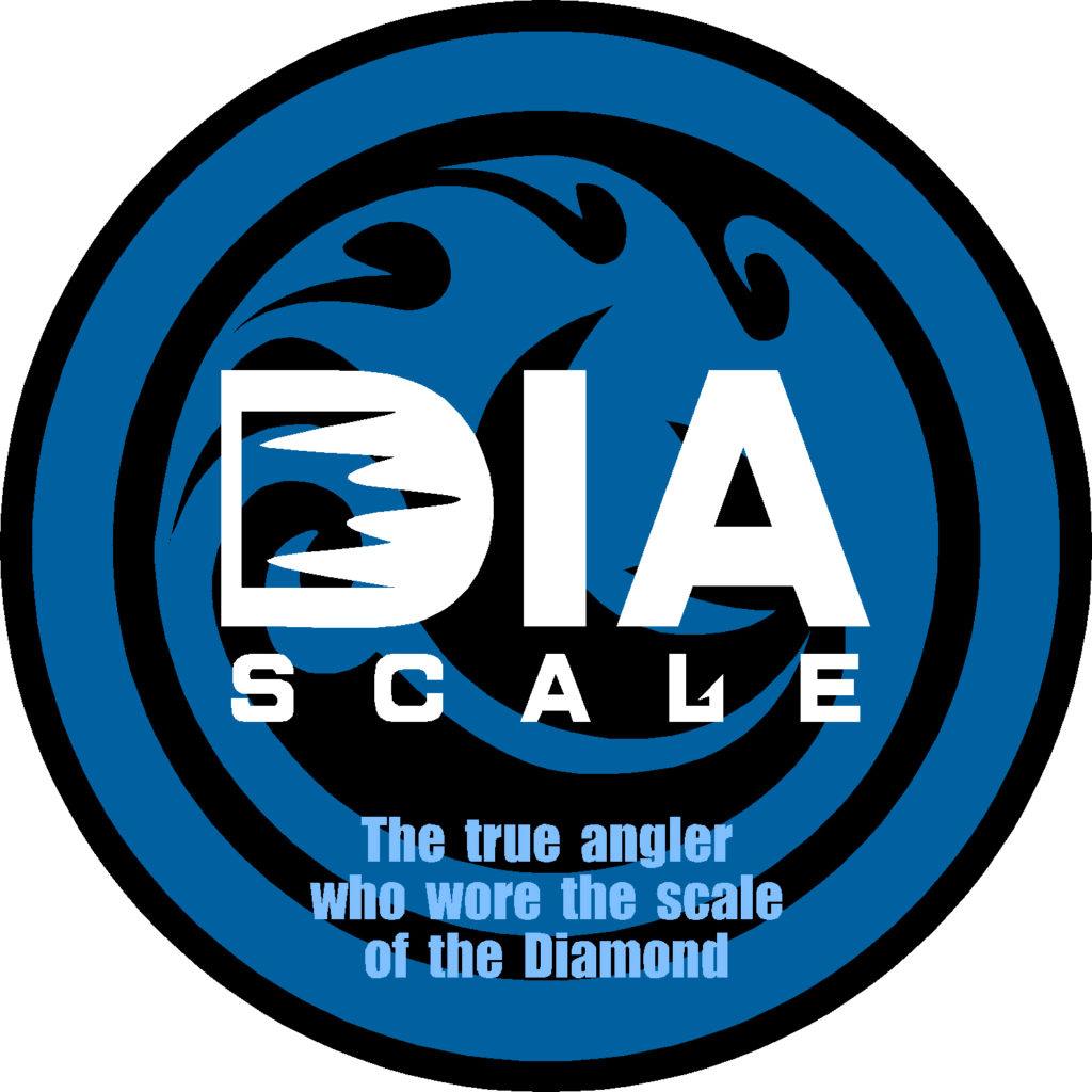 オーダーメイド | 【DIA SCALE（ダイヤスケール）】公式ウェブサイト