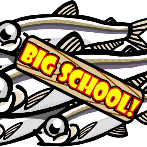 【DIA SCALE（ダイヤスケール）】公式ウェブサイト | 釣り人のためのステッカー＆アパレルブランドDIA SCALE